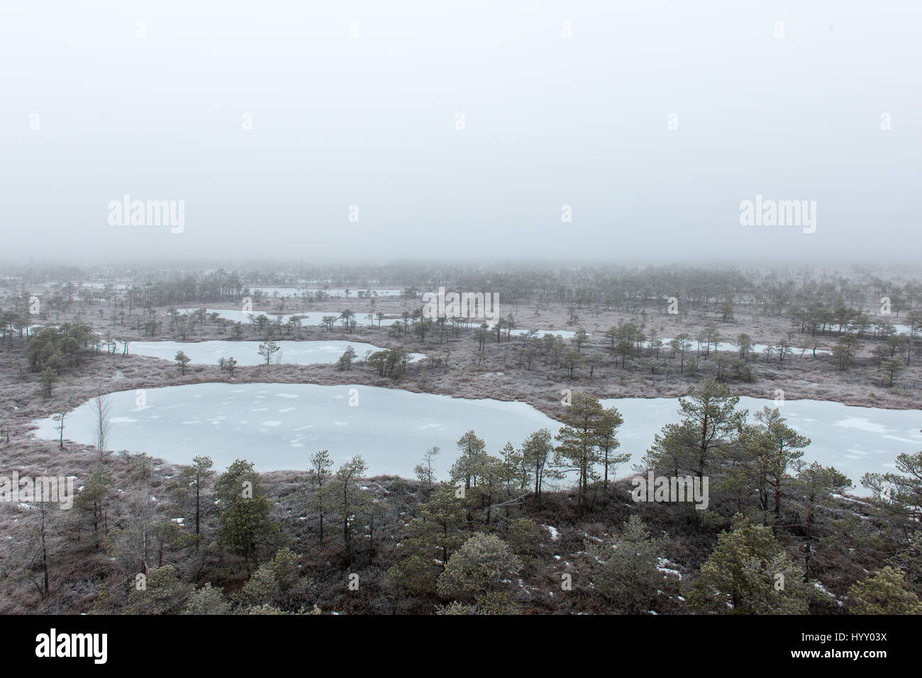 snowy landscape in frosty winter bog in country side Stock Photo - Alamy