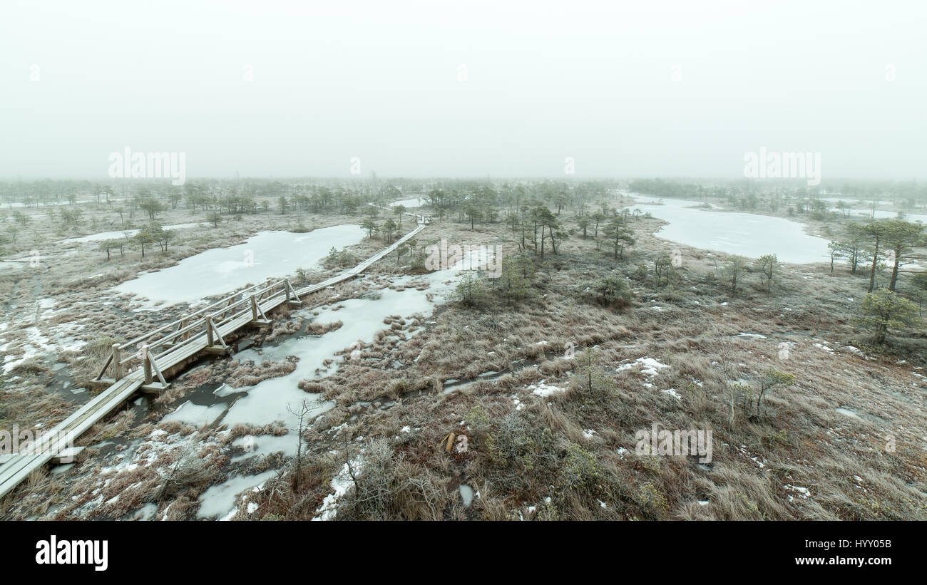 wooden boardwalk in frosty winter bog landscape with frozen nature ...