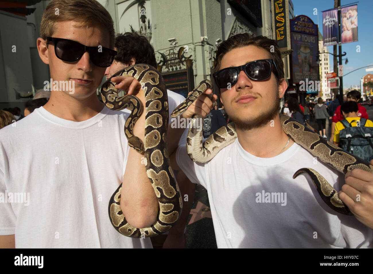 Snake Handlers working for tips, Hollywood Boulevard, Hollywood, Los ...