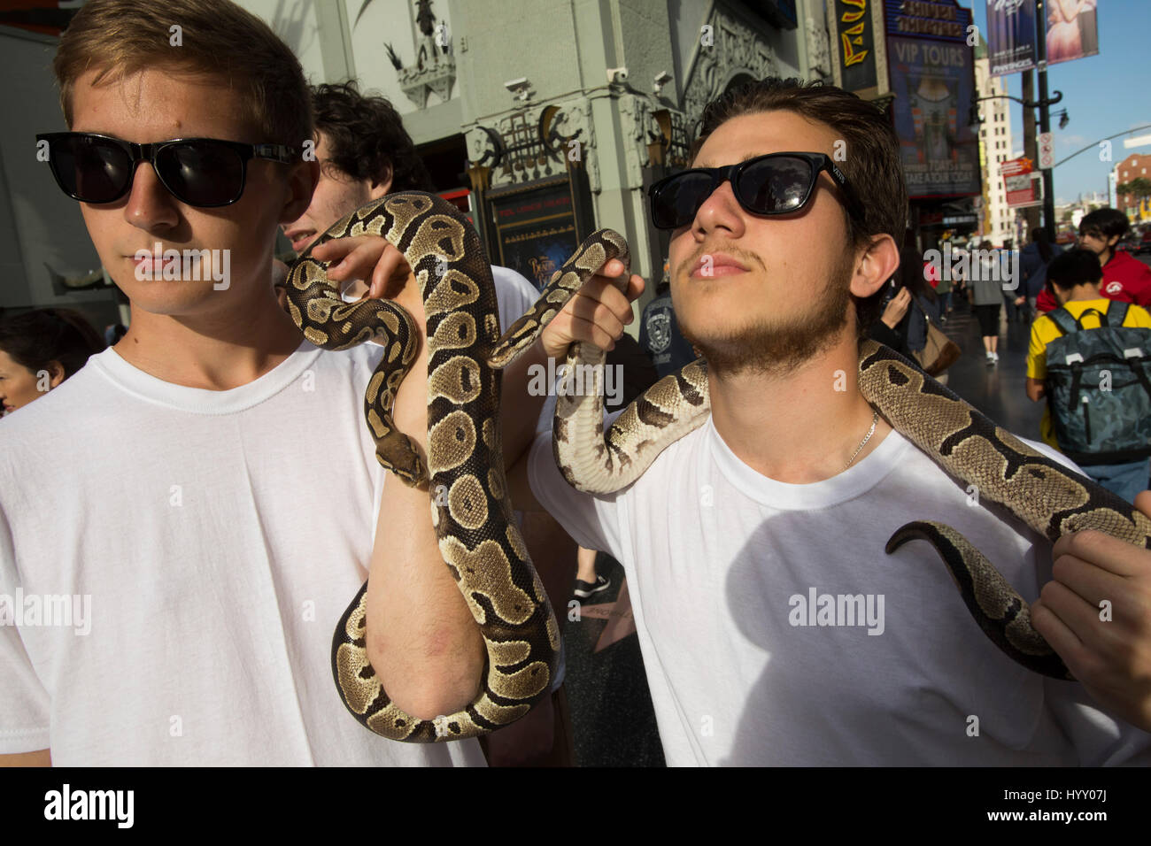Snake Handlers working for tips, Hollywood Boulevard, Hollywood, Los ...