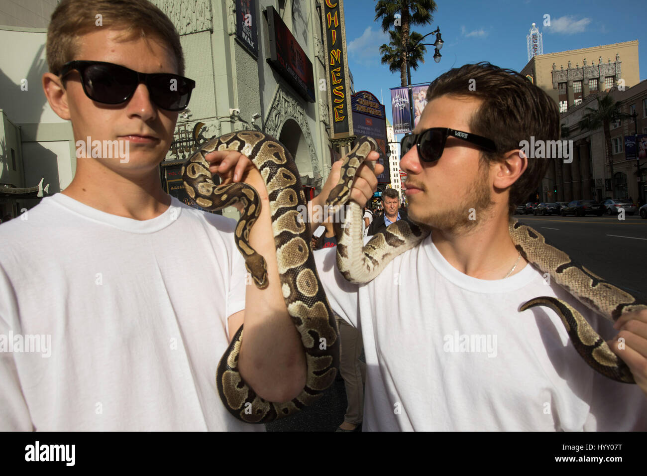 Snake handlers hi-res stock photography and images - Alamy