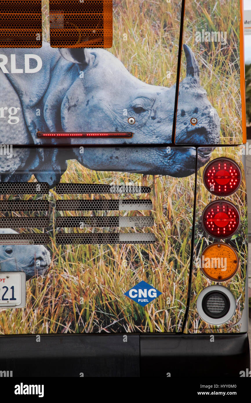 Rhino depicted on a bus advertisiment, Venice Boulevard, Los Angeles ...