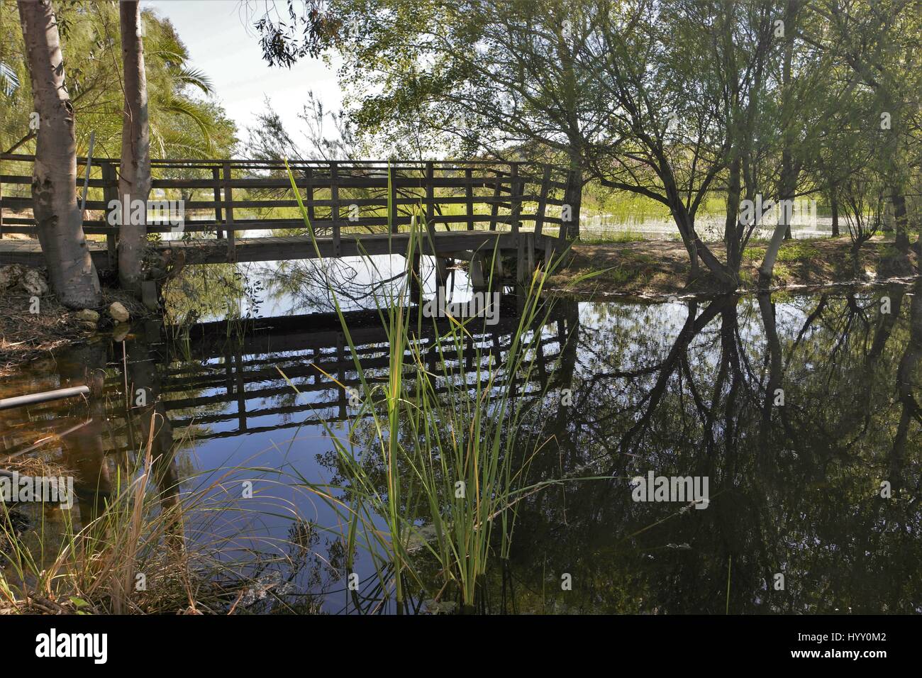 Bridge over a lake Stock Photo - Alamy