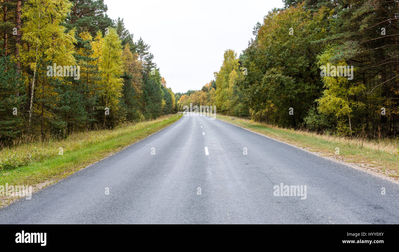empty road in the countryside with trees in surrounding. perspective in ...