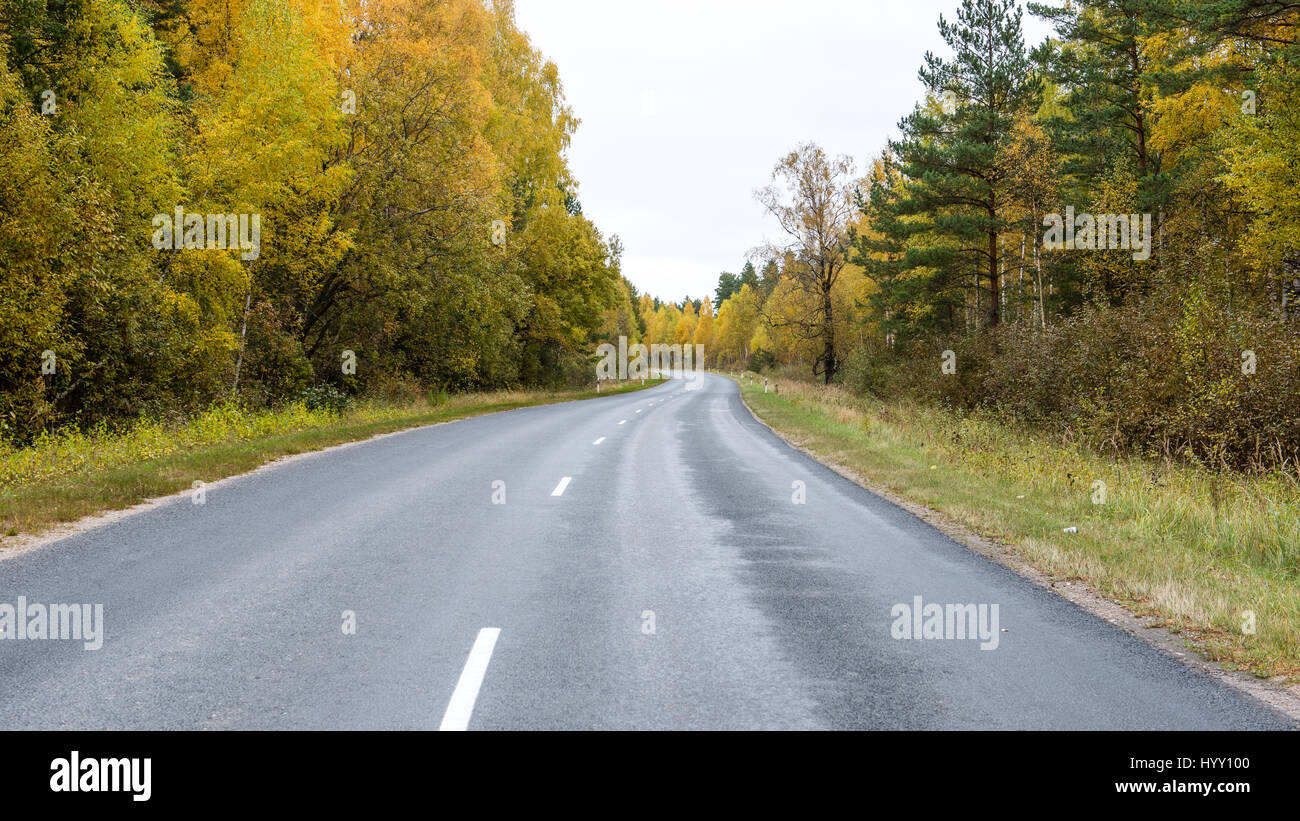empty road in the countryside with trees in surrounding. perspective in ...