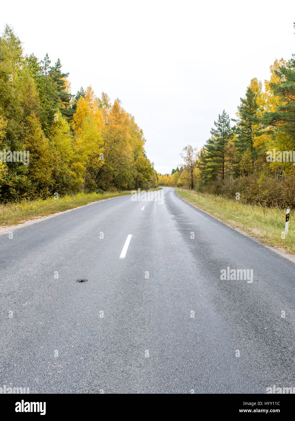 empty road in the countryside with trees in surrounding. perspective in ...
