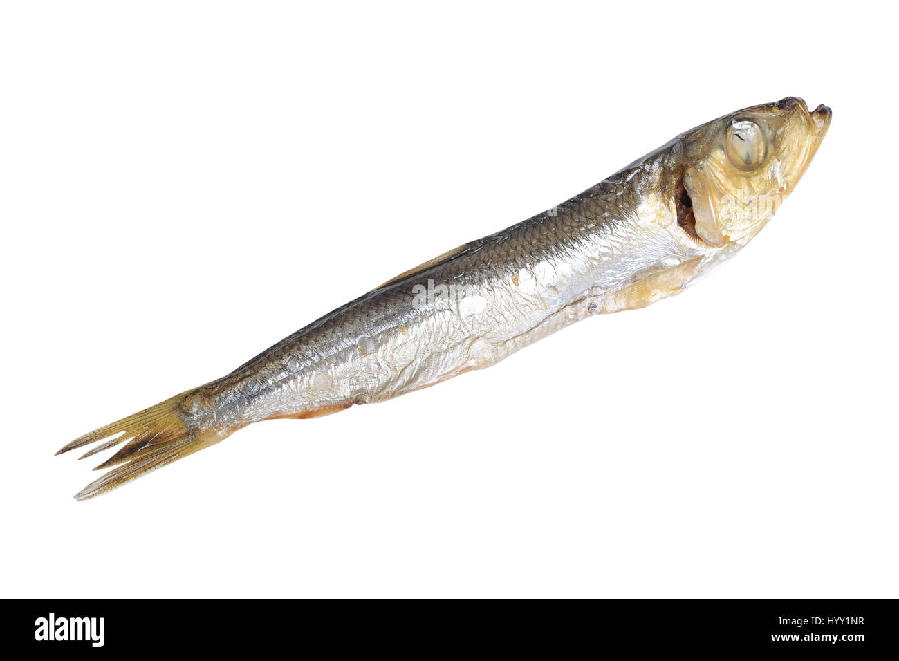 Fish food isolated on white background Stock Photo - Alamy