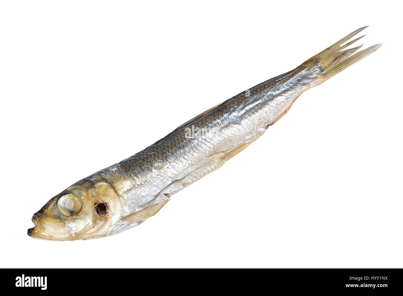 Fish food isolated on white background Stock Photo - Alamy