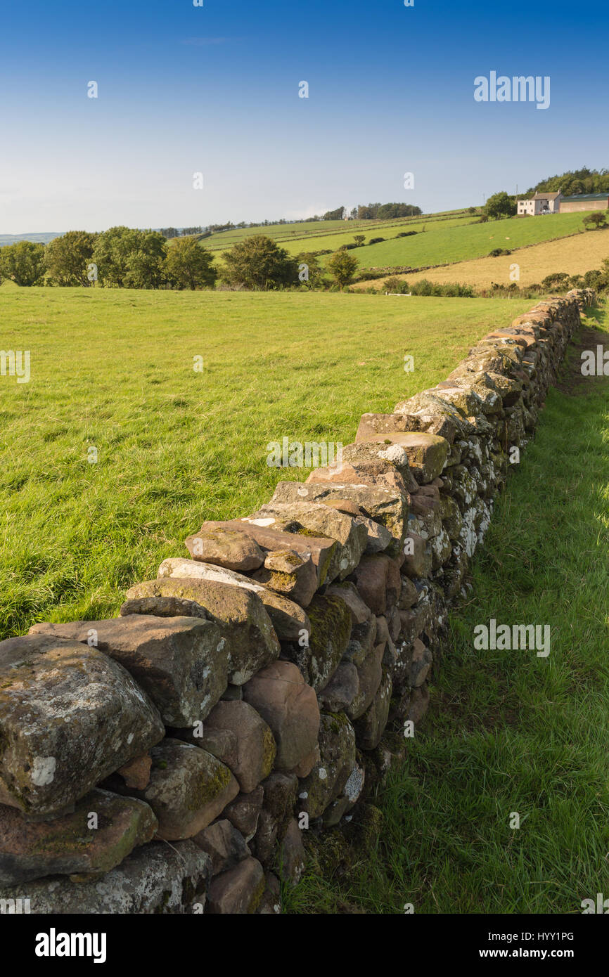 Irish Dry Stone Wall, Antrim Glens Stock Photo - Alamy
