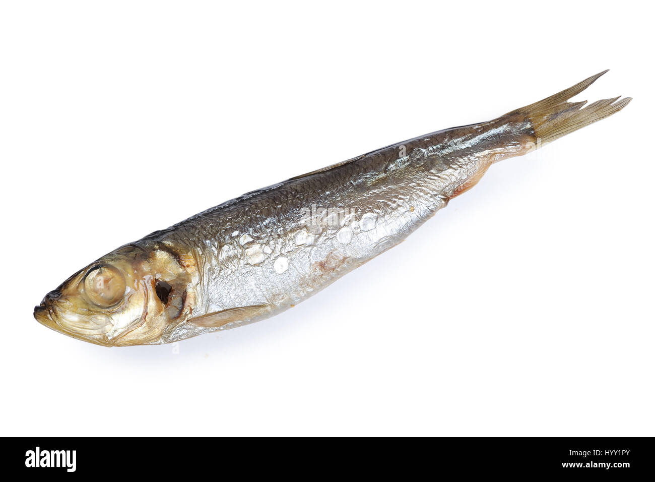 Fish food isolated on white background Stock Photo - Alamy