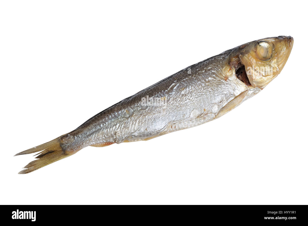 Fish food isolated on white background Stock Photo - Alamy