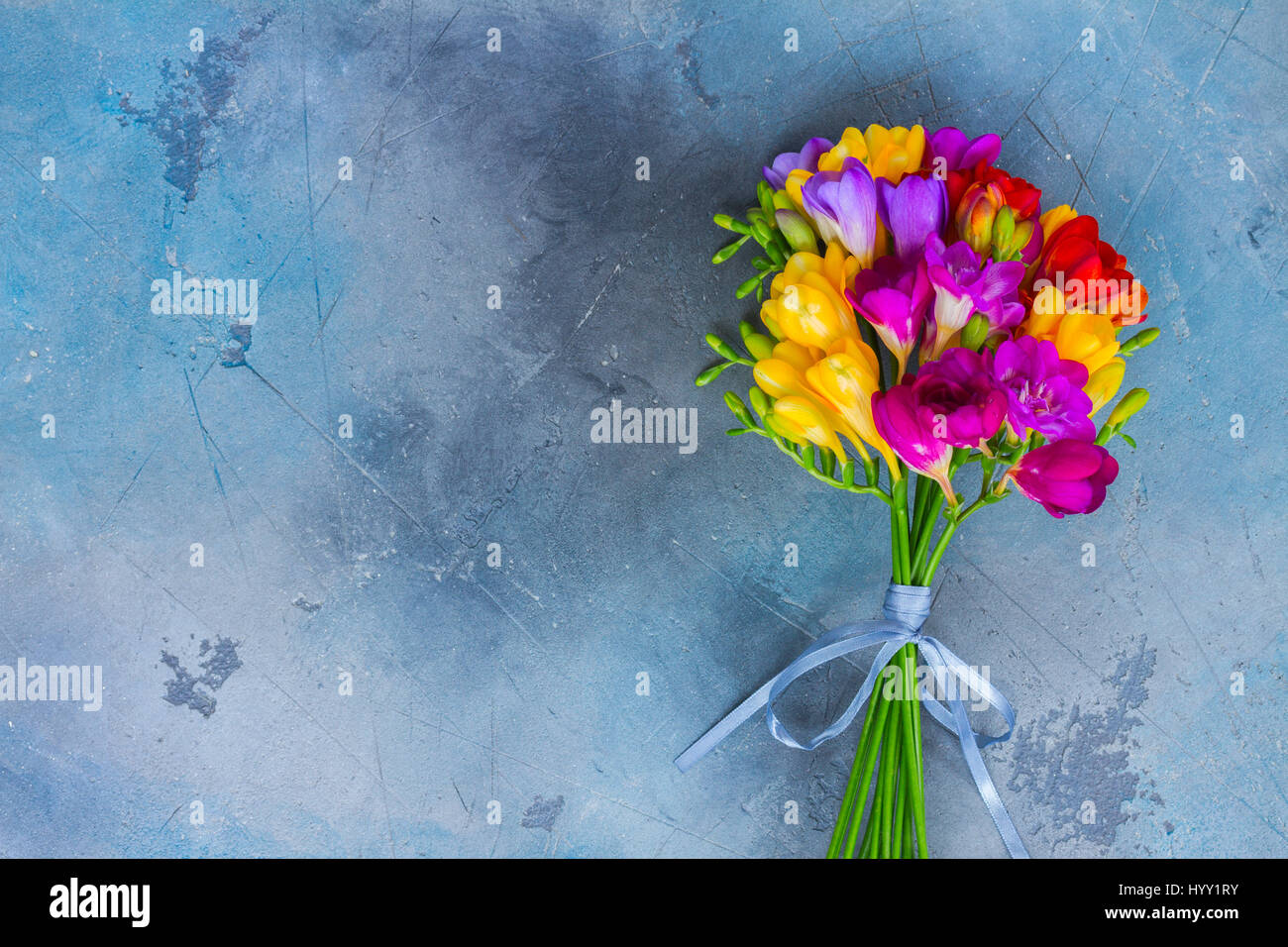 Posy of fresh freesia flowers on gray stone background with copy space ...