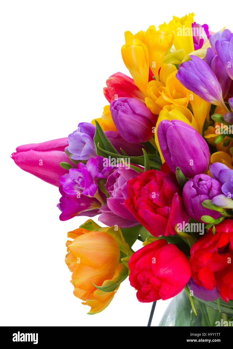 bunch of bright spring flowers close up isolated on white background ...