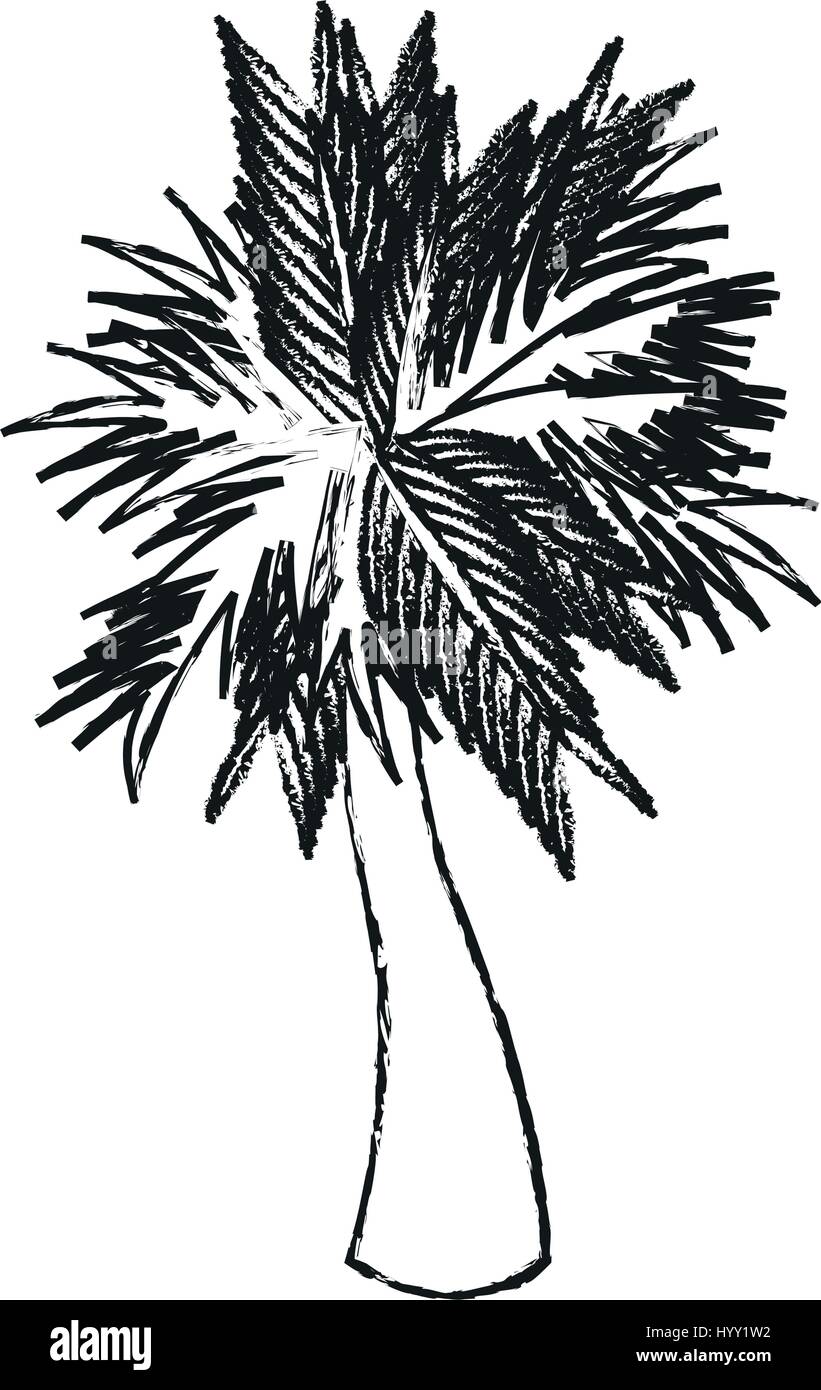 single palm tree icon image Stock Vector Image & Art - Alamy