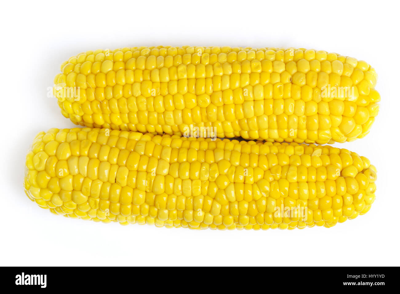Corn isolated on white background Stock Photo - Alamy