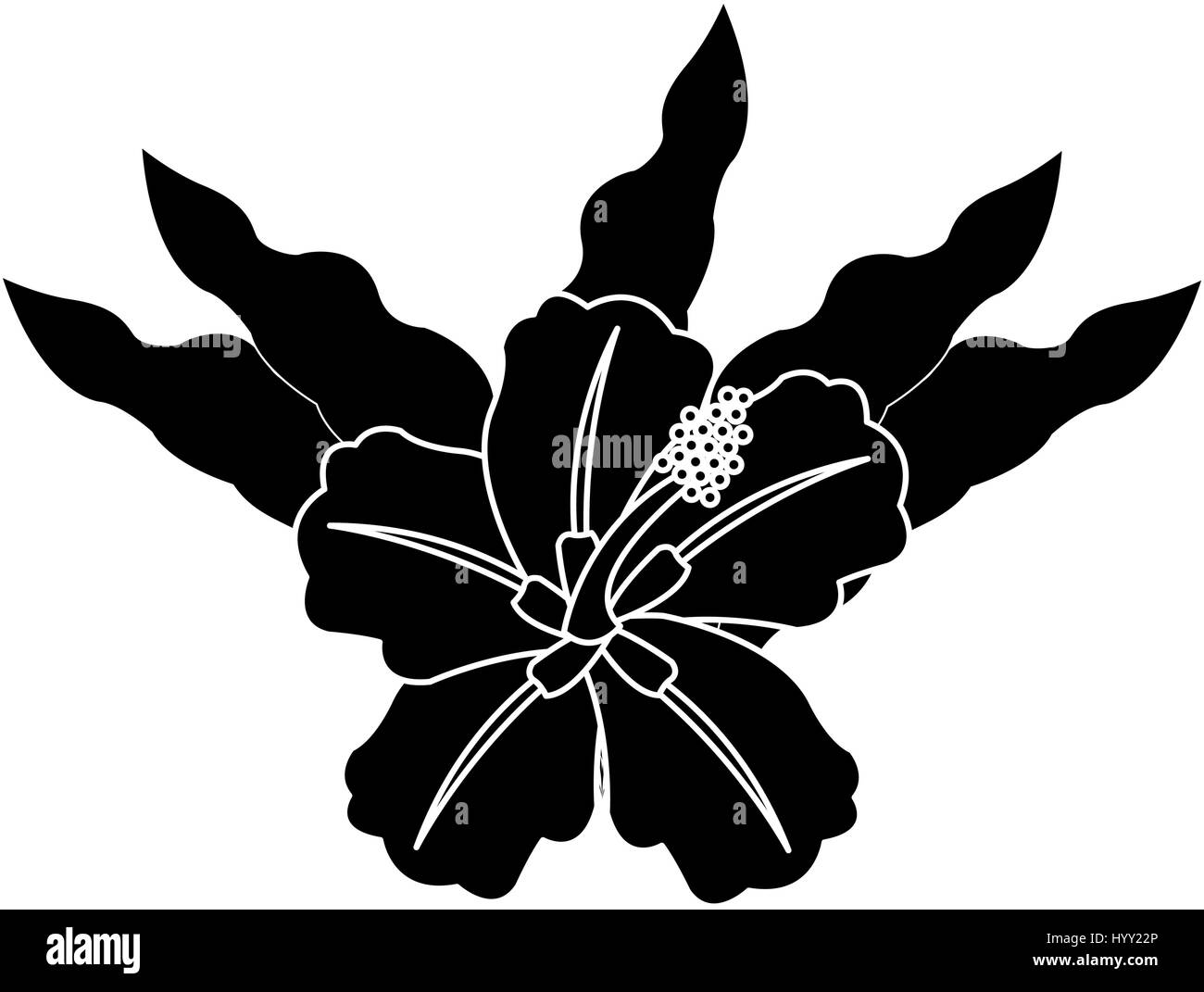 tropical flower icon image Stock Vector Image & Art - Alamy