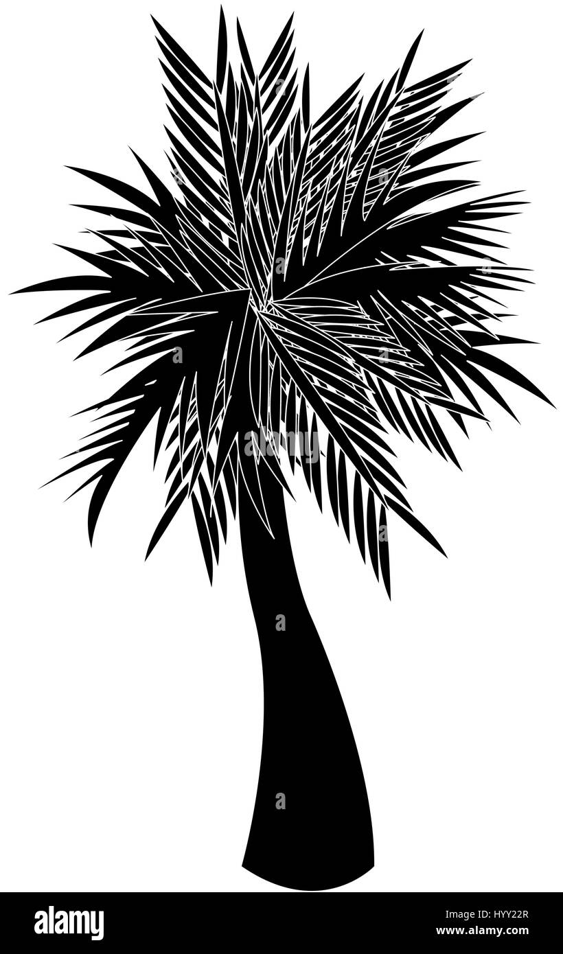 single palm tree icon image Stock Vector Image & Art - Alamy