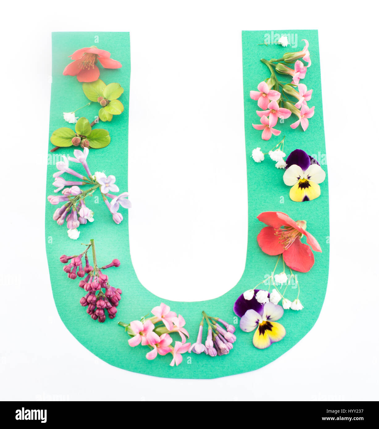 Letter U Made of Spring Flowers and Paper, on White Background Stock ...