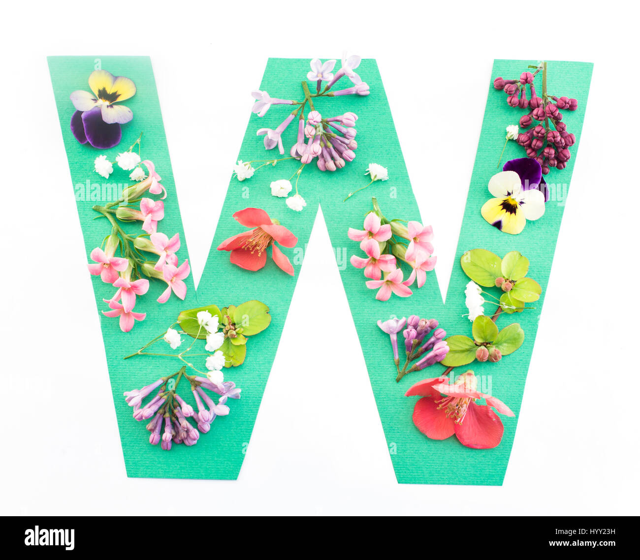 Letter W Made of Spring Flowers and Paper, on White Background Stock ...