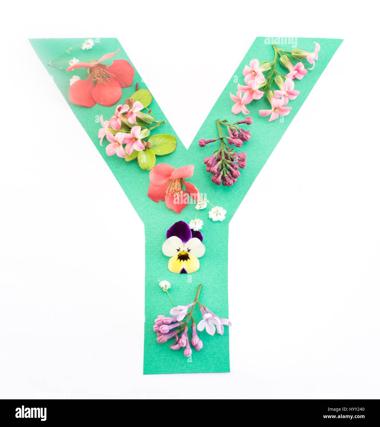 Alphabet letter nature y hi-res stock photography and images - Alamy