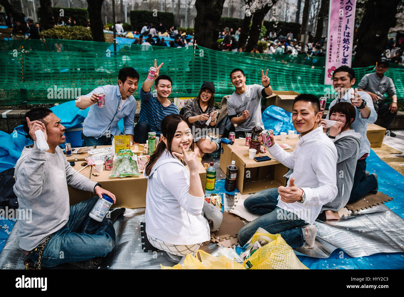 People celebrating Hanami at Ueno Park Stock Photo - Alamy