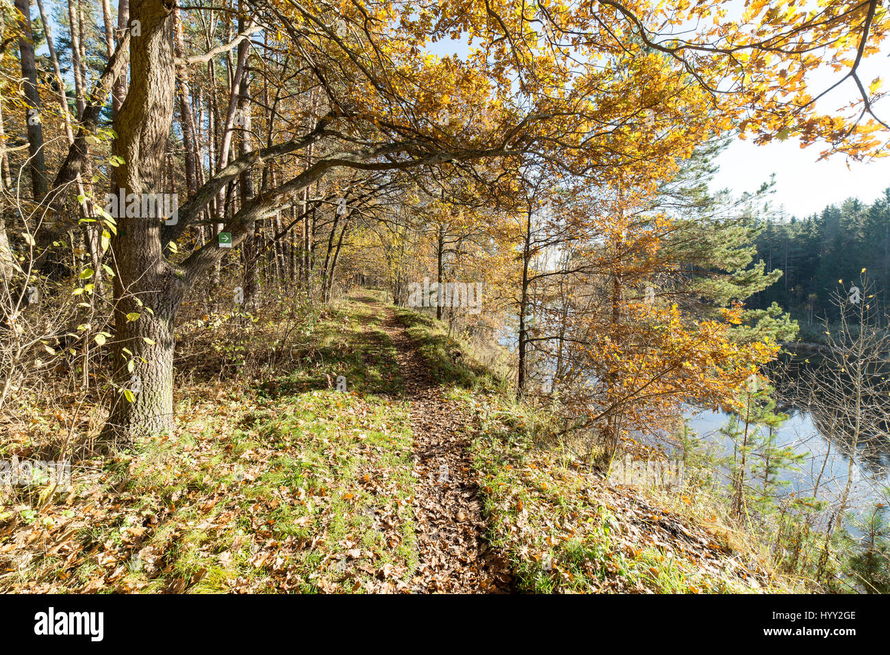 autumn colored tourism trail in the woods in the countryside Stock ...