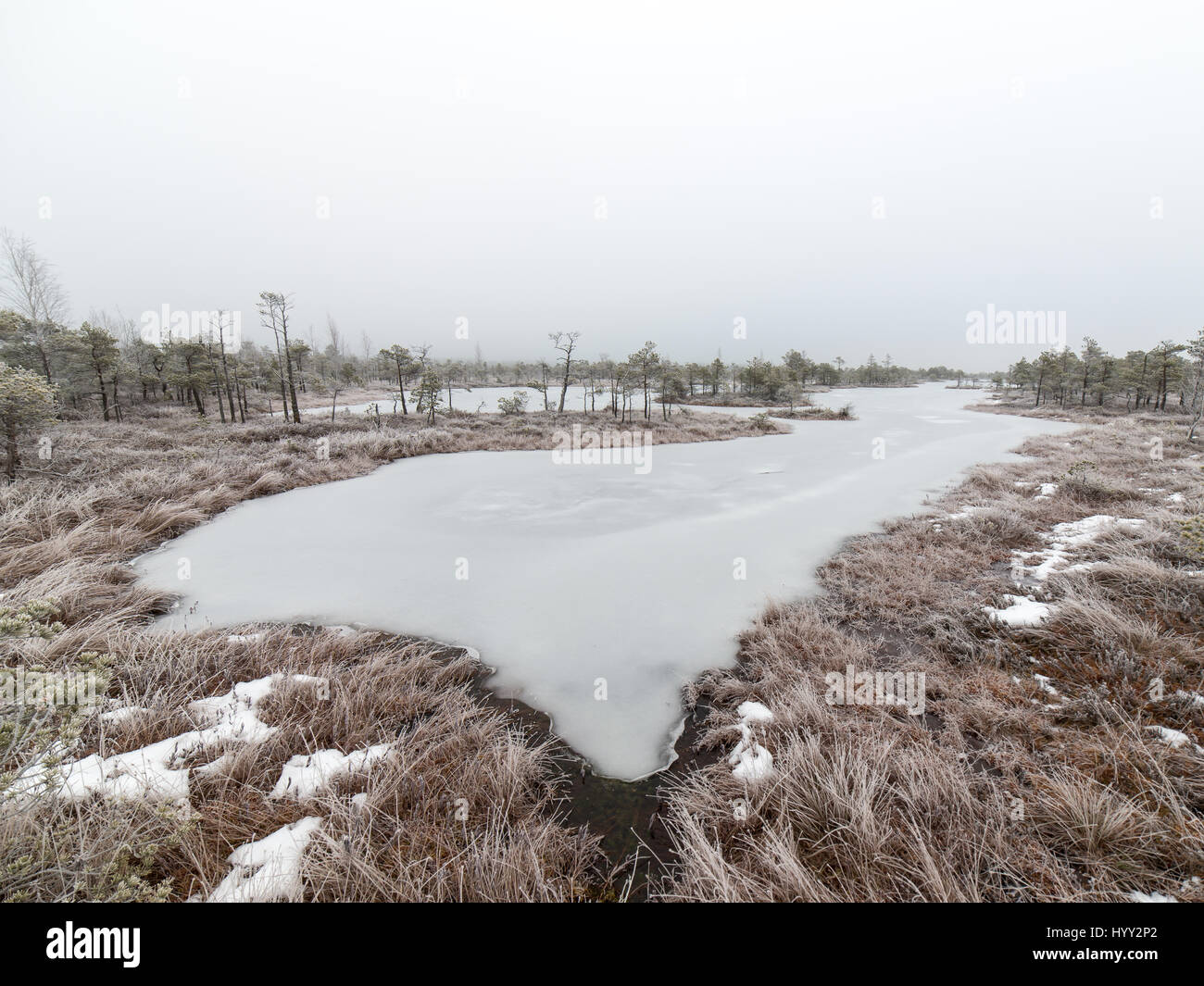 snowy landscape in frosty winter bog in country side Stock Photo - Alamy