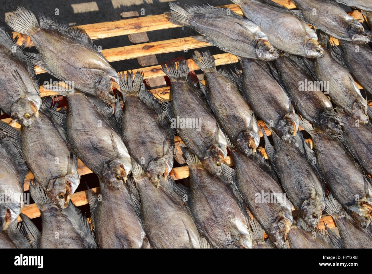 Fish smoking process hi-res stock photography and images - Alamy