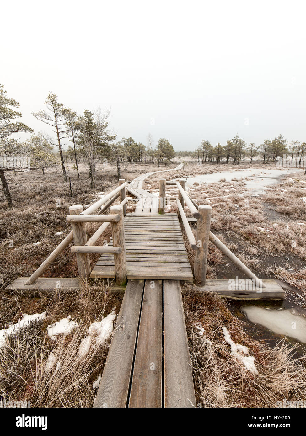 wooden boardwalk in frosty winter bog landscape with frozen nature ...