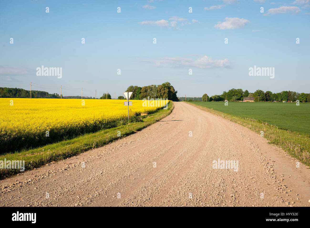 simple country road in summer at countryside with trees around Stock ...