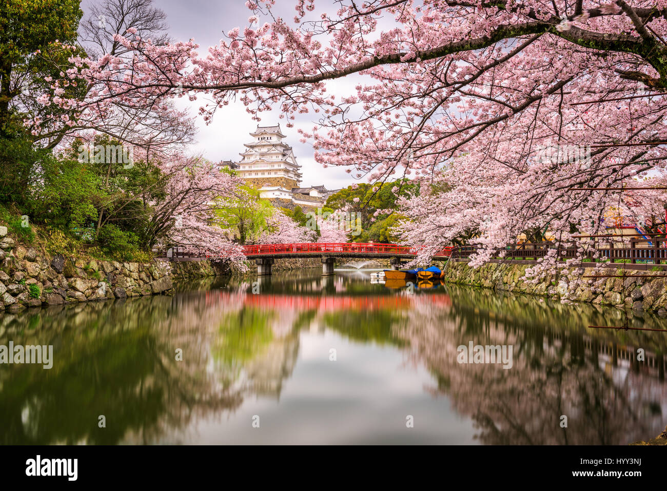 Himeji, Japan at Himeji Castle during spring cherry blossom season ...