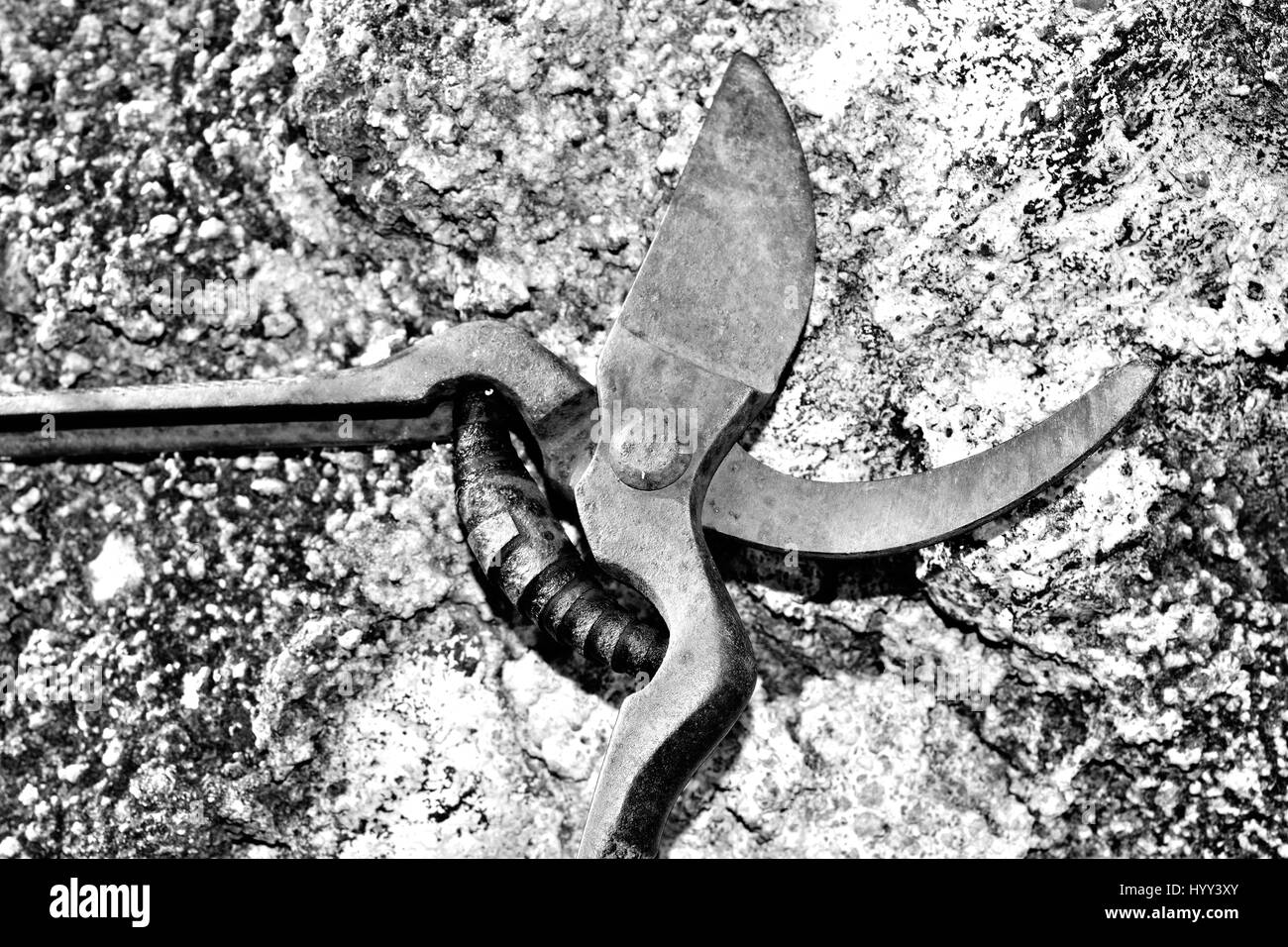 old rusty garden shears leaning on an old wall Stock Photo - Alamy