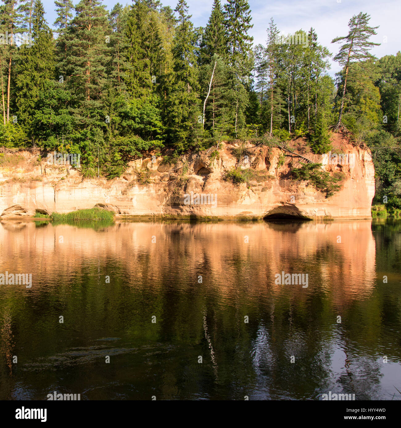 sandstone cliffs on the river shore in the Gaujas National Park, Latvia ...