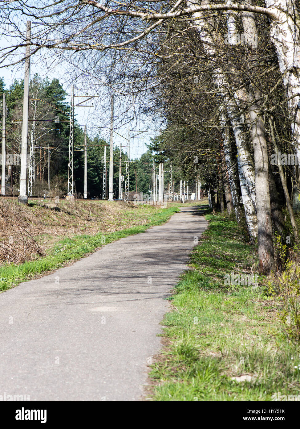 empty country road in spring with perspective and shadows Stock Photo ...