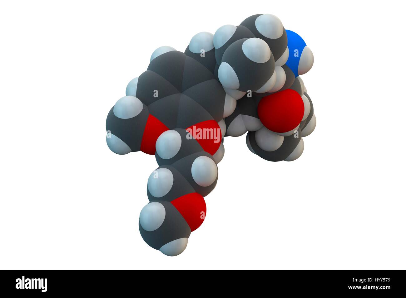 Aliskiren hypertension (high blood pressure) drug (renin inhibitor ...