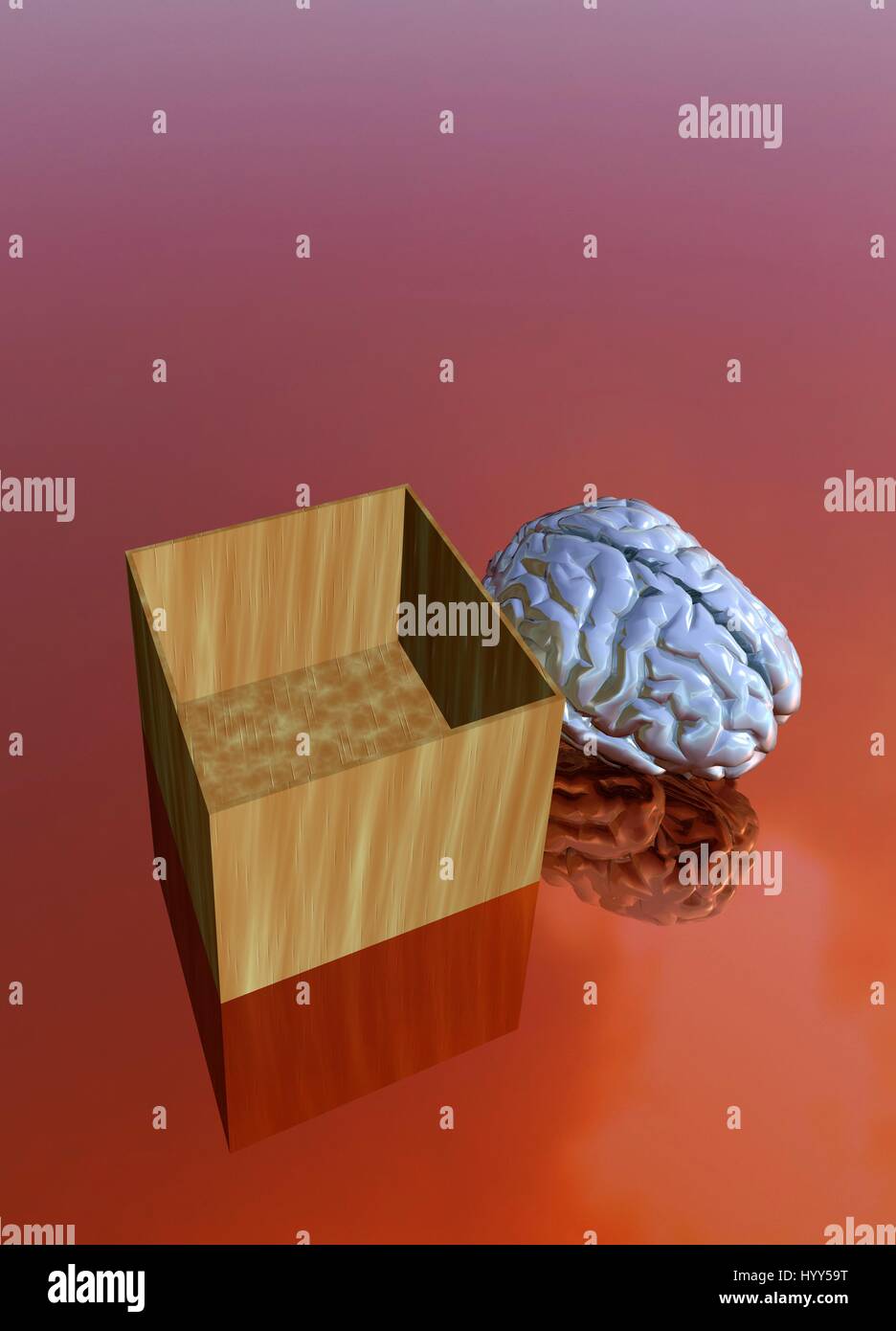 Human organ box hi-res stock photography and images - Alamy