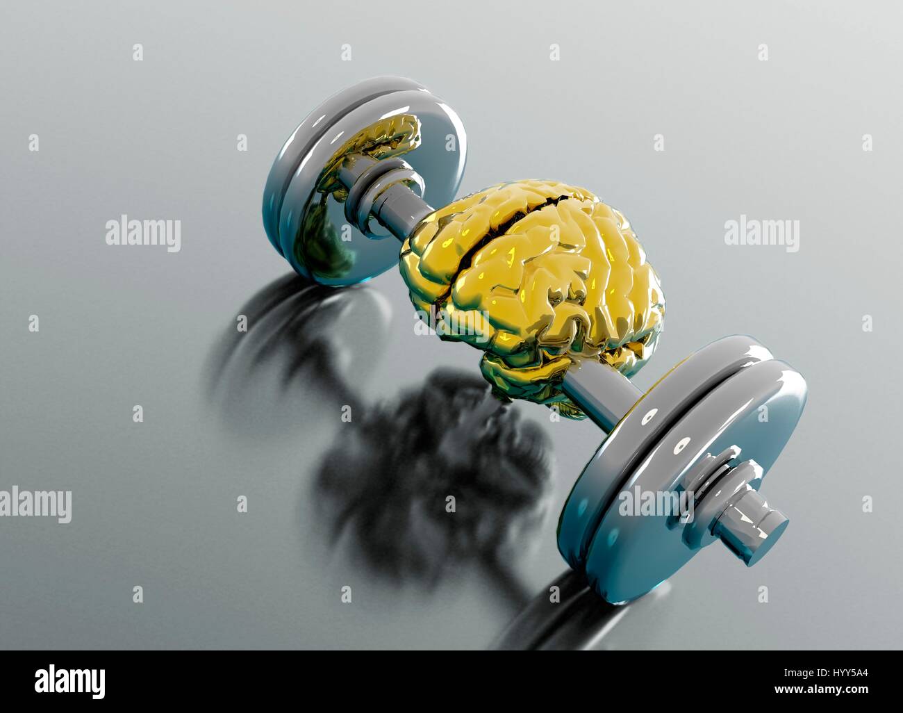 Human brain between weights on dumbbell, illustration Stock Photo - Alamy