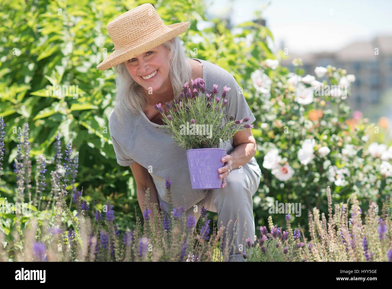 Gardening senior hi-res stock photography and images - Alamy