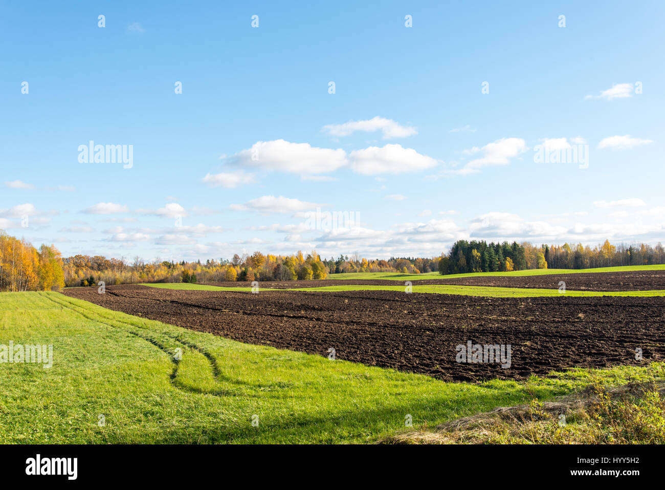 green field with trees in the autumn in country Stock Photo - Alamy