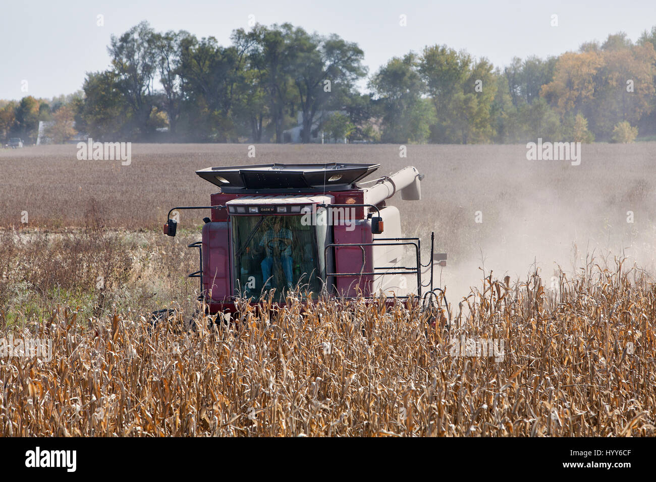 2012 corn harvest in southeastern Iowa Stock Photo - Alamy