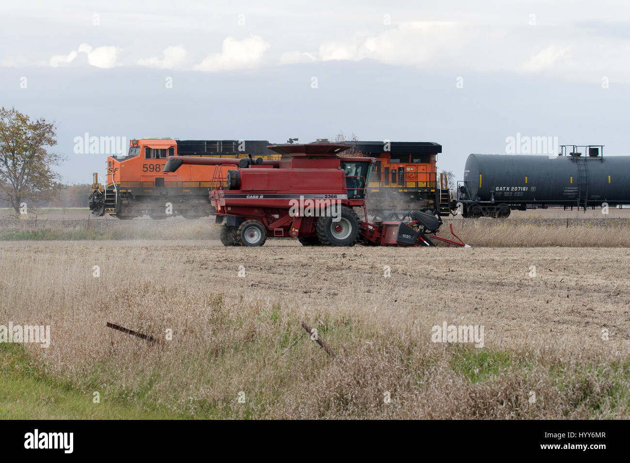 Soybean car hi-res stock photography and images - Alamy