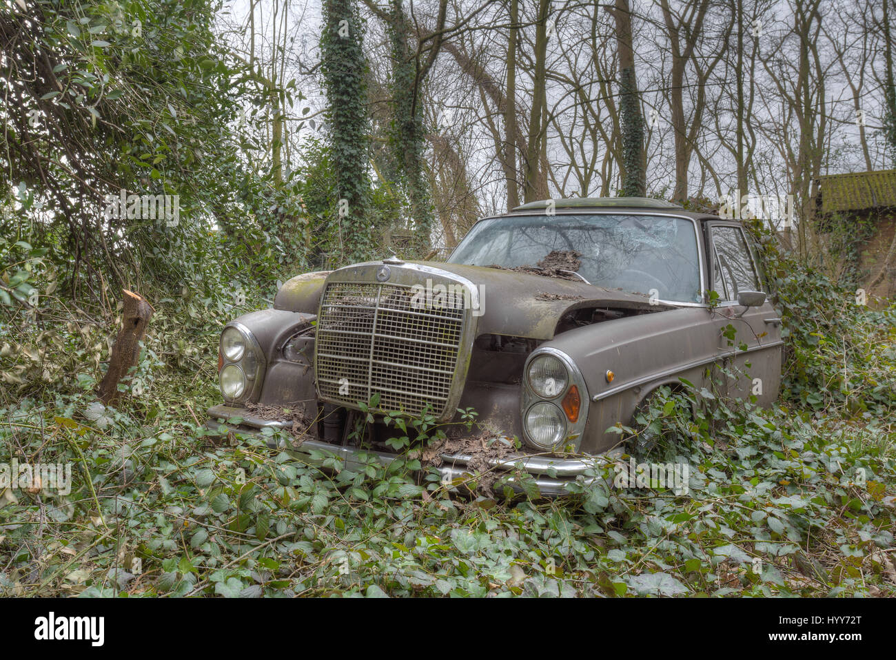 Overgrown cars hi-res stock photography and images - Alamy