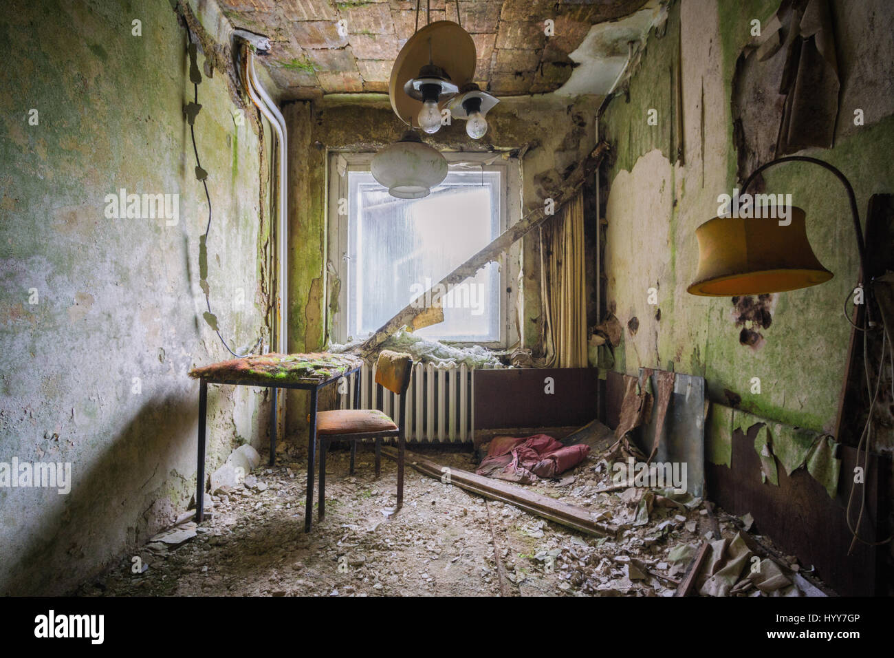 UNNERVING images show how a green carpet of mould is taking over the ...