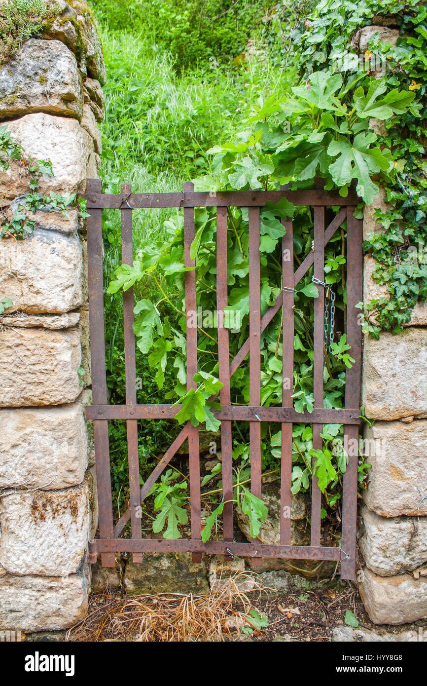 Europe Backgrounds Old Garden Gate Beautiful Flower Pictures To