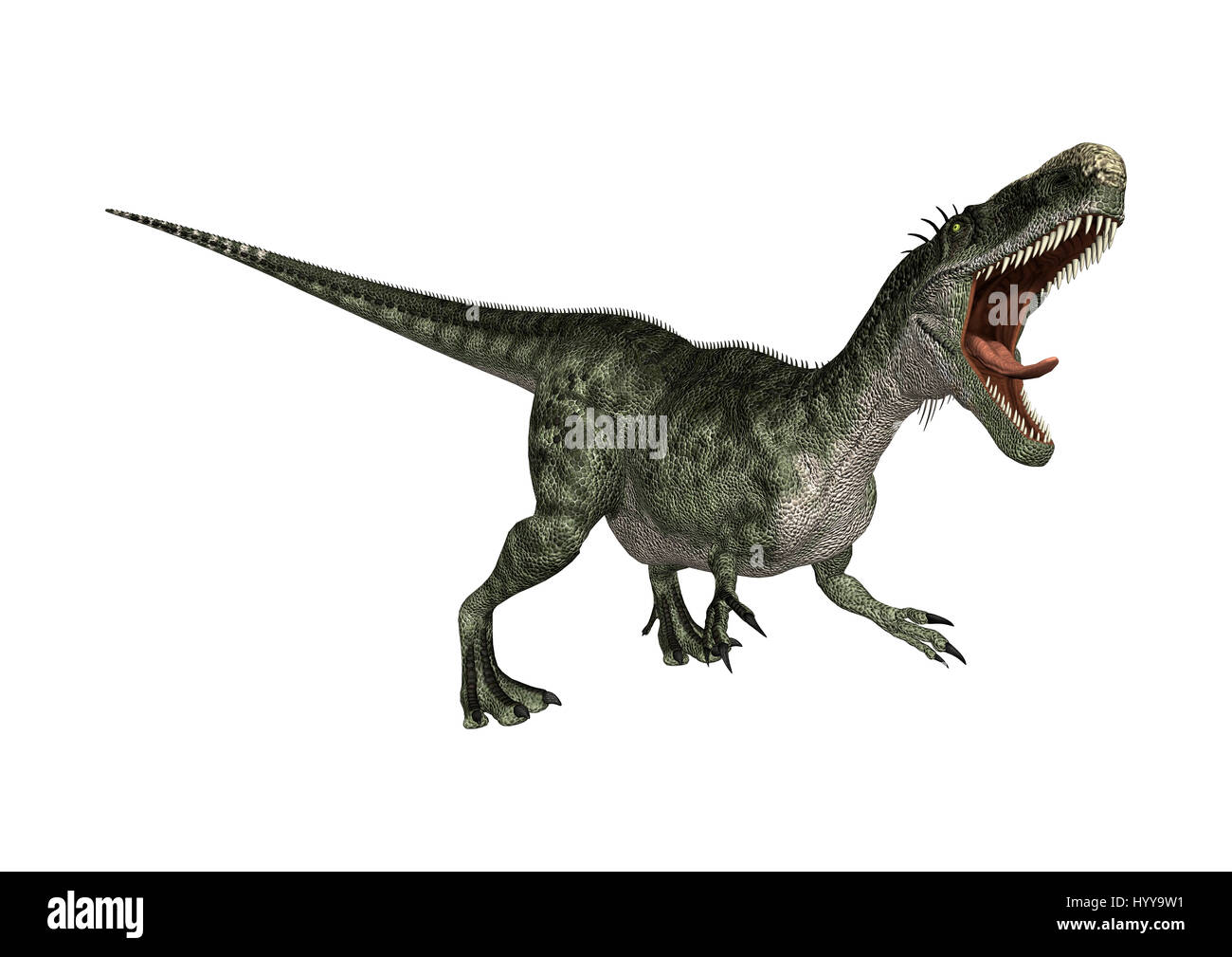 3D rendering of a dinosaur Monolophosaurus isolated on white background ...