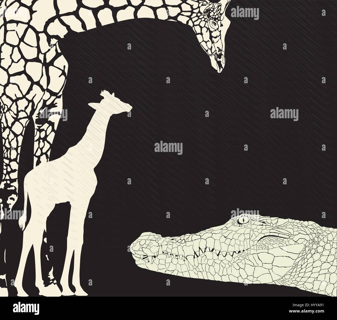 Aligator And Giraffe