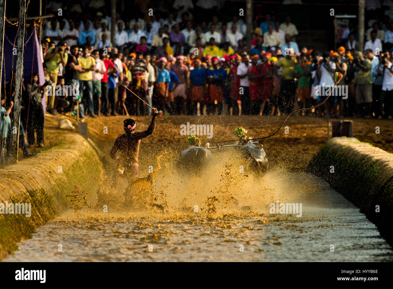 KARNATAKA, INDIA: THRILLING shots capturing an exhilarating annual bull ...
