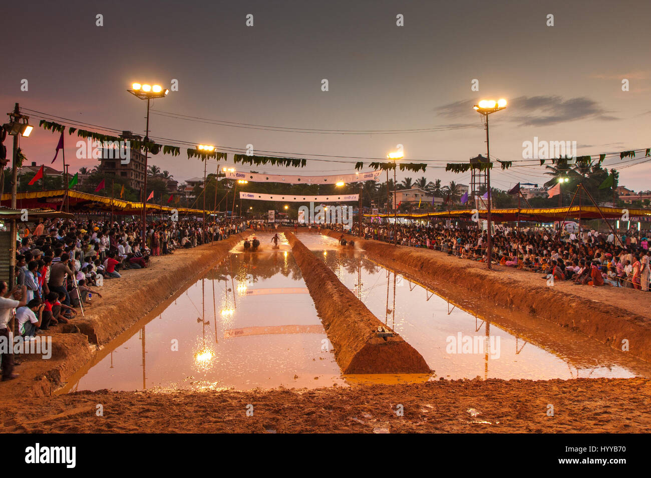 KARNATAKA, INDIA: THRILLING shots capturing an exhilarating annual bull ...