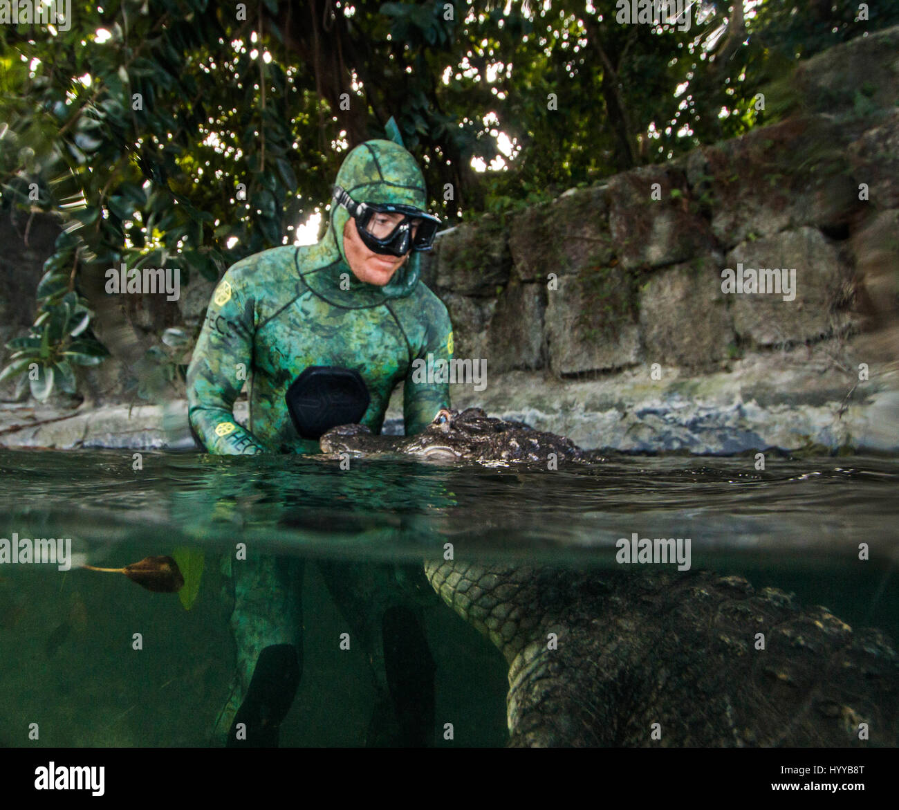 FLORIDA, USA: STUNNING underwater shots showing a man bravely hanging ...