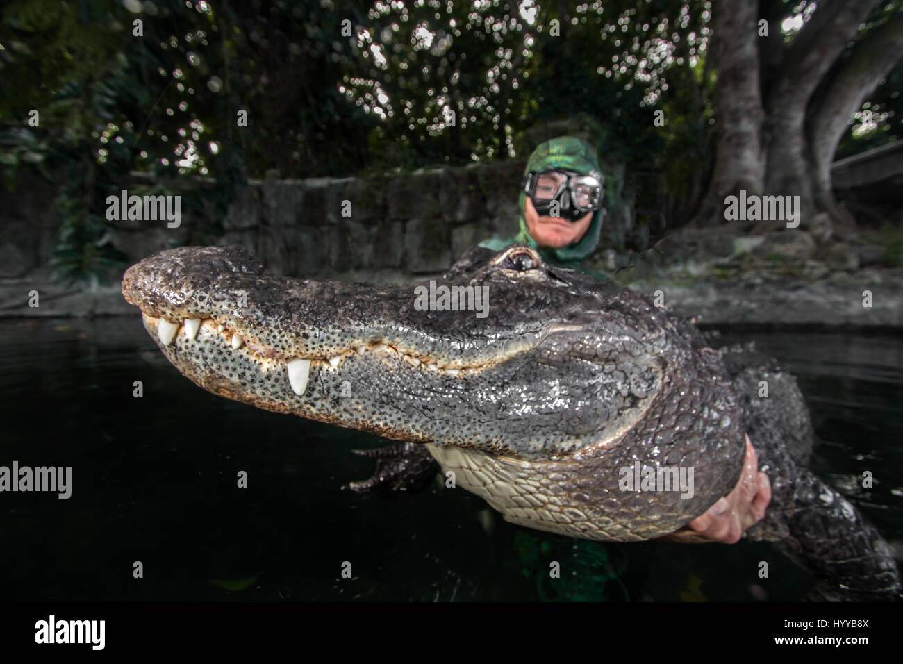FLORIDA, USA: STUNNING underwater shots showing a man bravely hanging ...